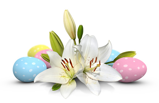 The History and Tradition of the Easter Lily – Martha Washington Garden ...